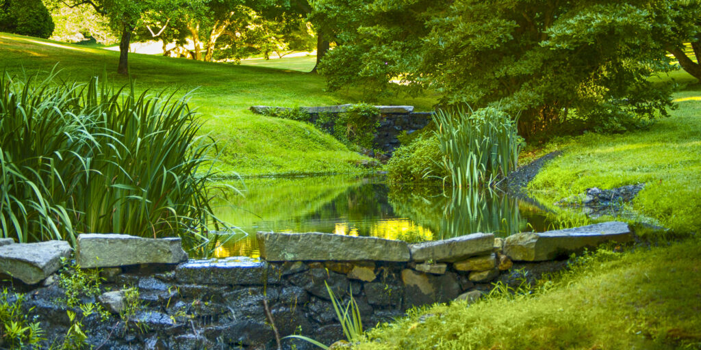 Delaware Professional Portrait Photographer: How My Story Began ...